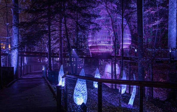 Digital Art Installation - 5 Companies Raising the Bar [Examples]