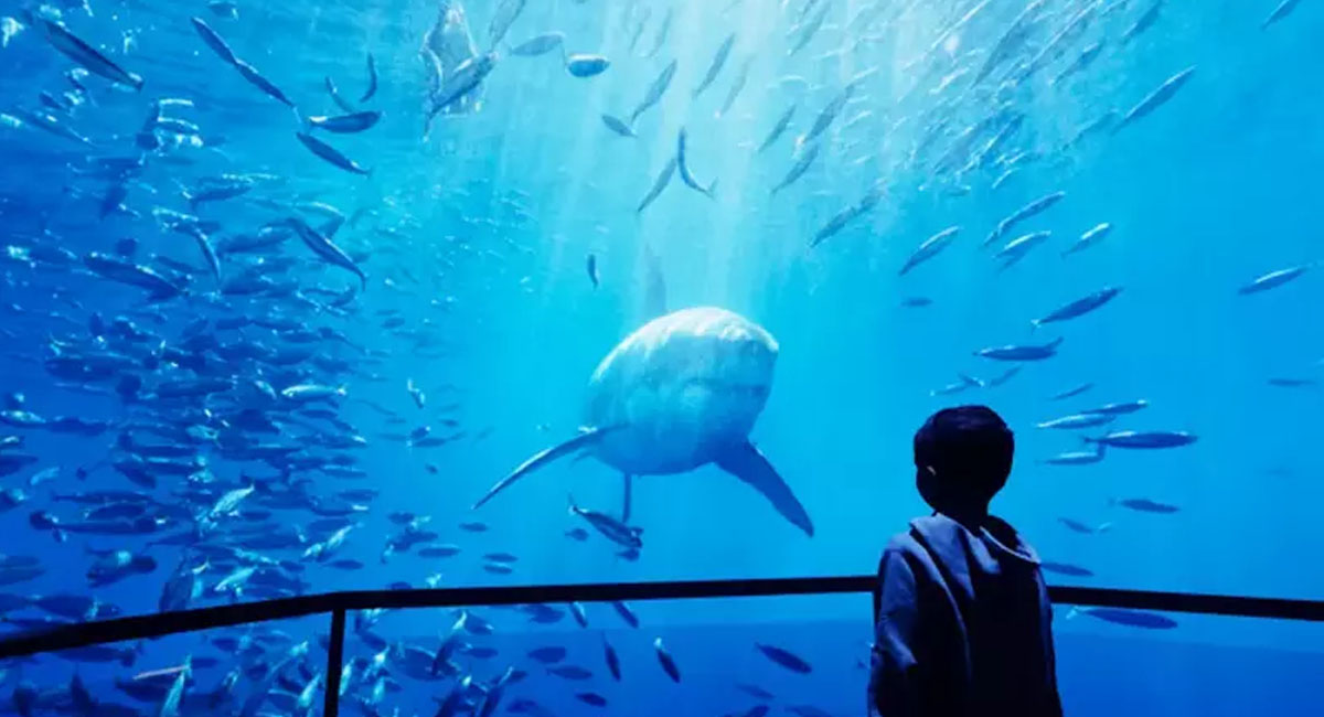 Museum Technology: 7 Examples of Next-Gen Exhibition Design