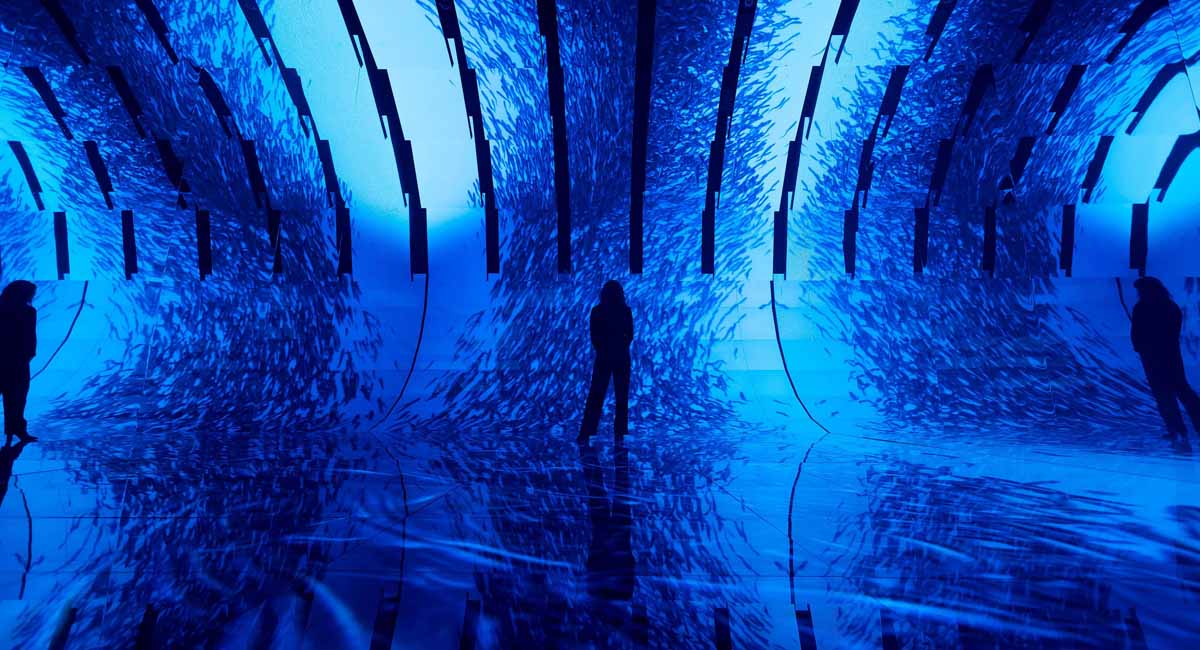 Museum Technology: 7 Examples of Next-Gen Exhibition Design