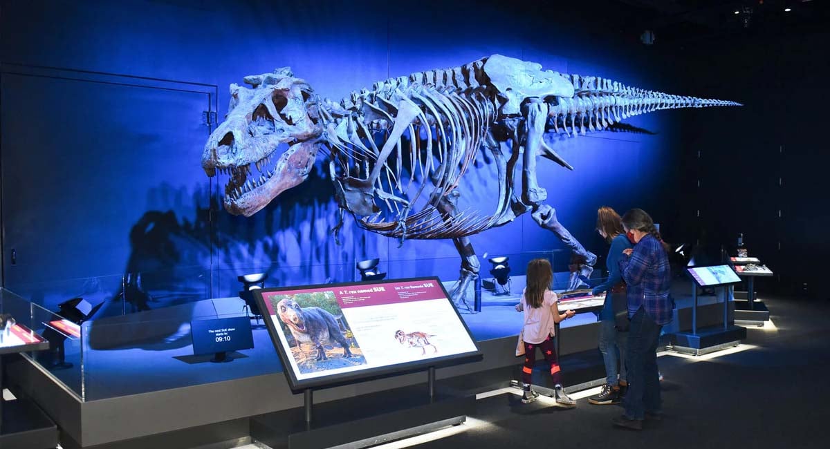 Museum Graphics That Wow: 12 Stunning Examples Redefining the Visitor ...