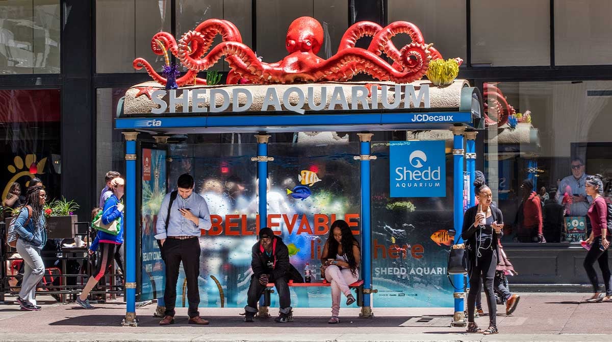 How to Design for an Outdoor Art Exhibit